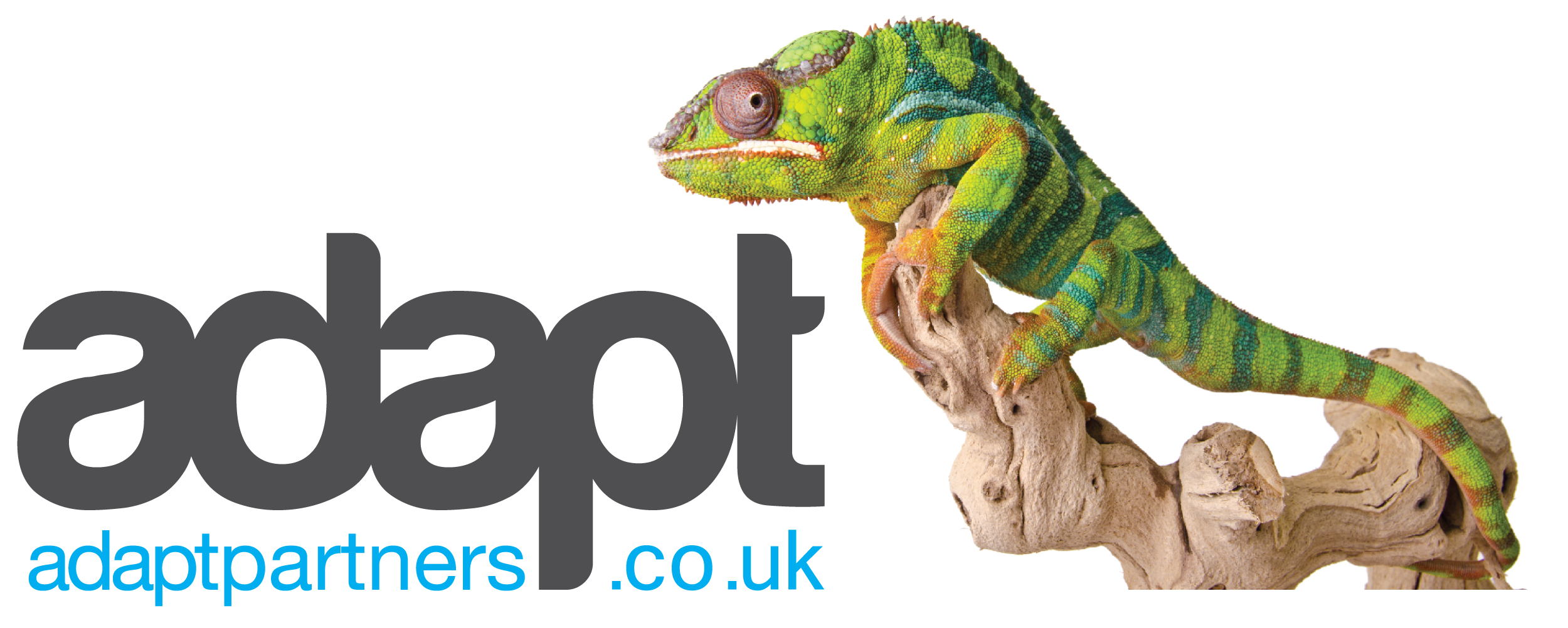Adapt Partners | Your Property Funding Partner